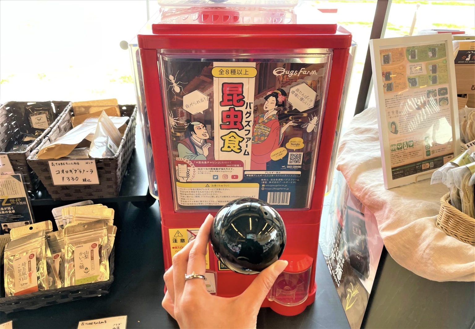 Vending machine selling edible bugs is an instant hit in Kumamoto ...