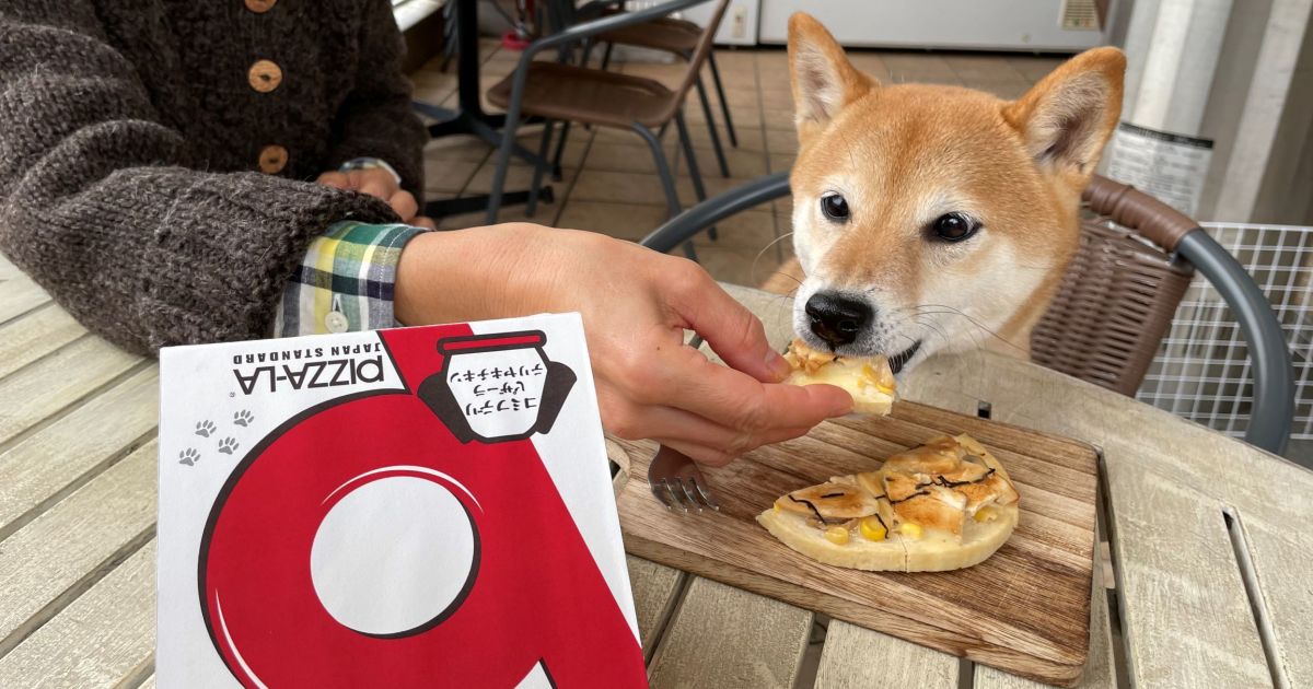 Leading Japanese pizza chain Pizza La now delivers…for your dog ...