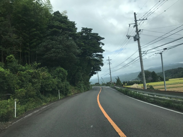 Travel off the beaten path to a secret spot in Japan where bamboo grows ...