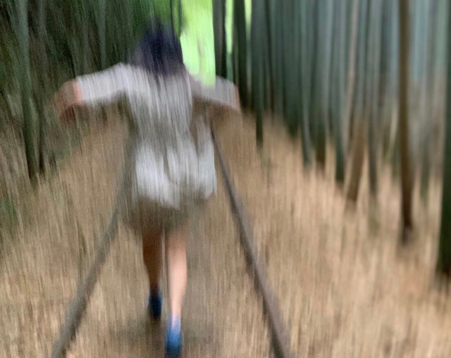 Travel off the beaten path to a secret spot in Japan where bamboo grows ...