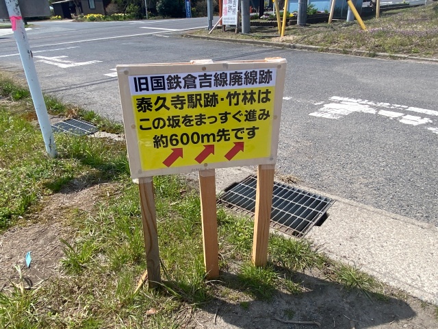 Travel off the beaten path to a secret spot in Japan where bamboo grows ...