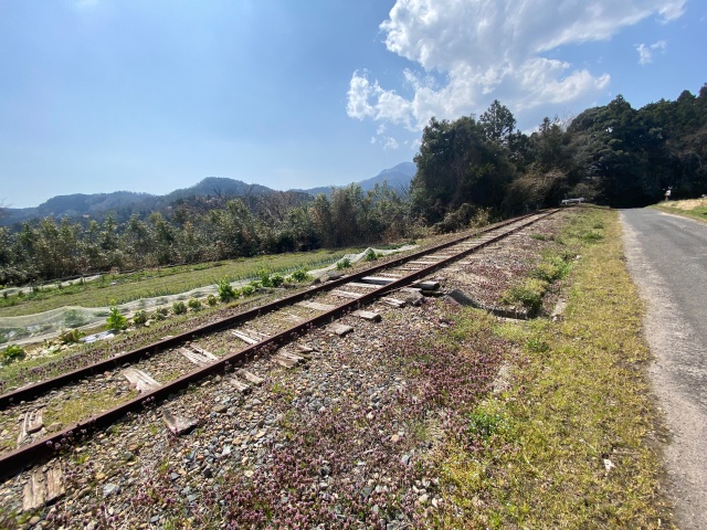 Travel off the beaten path to a secret spot in Japan where bamboo grows ...