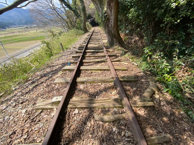 Travel off the beaten path to a secret spot in Japan where bamboo grows ...
