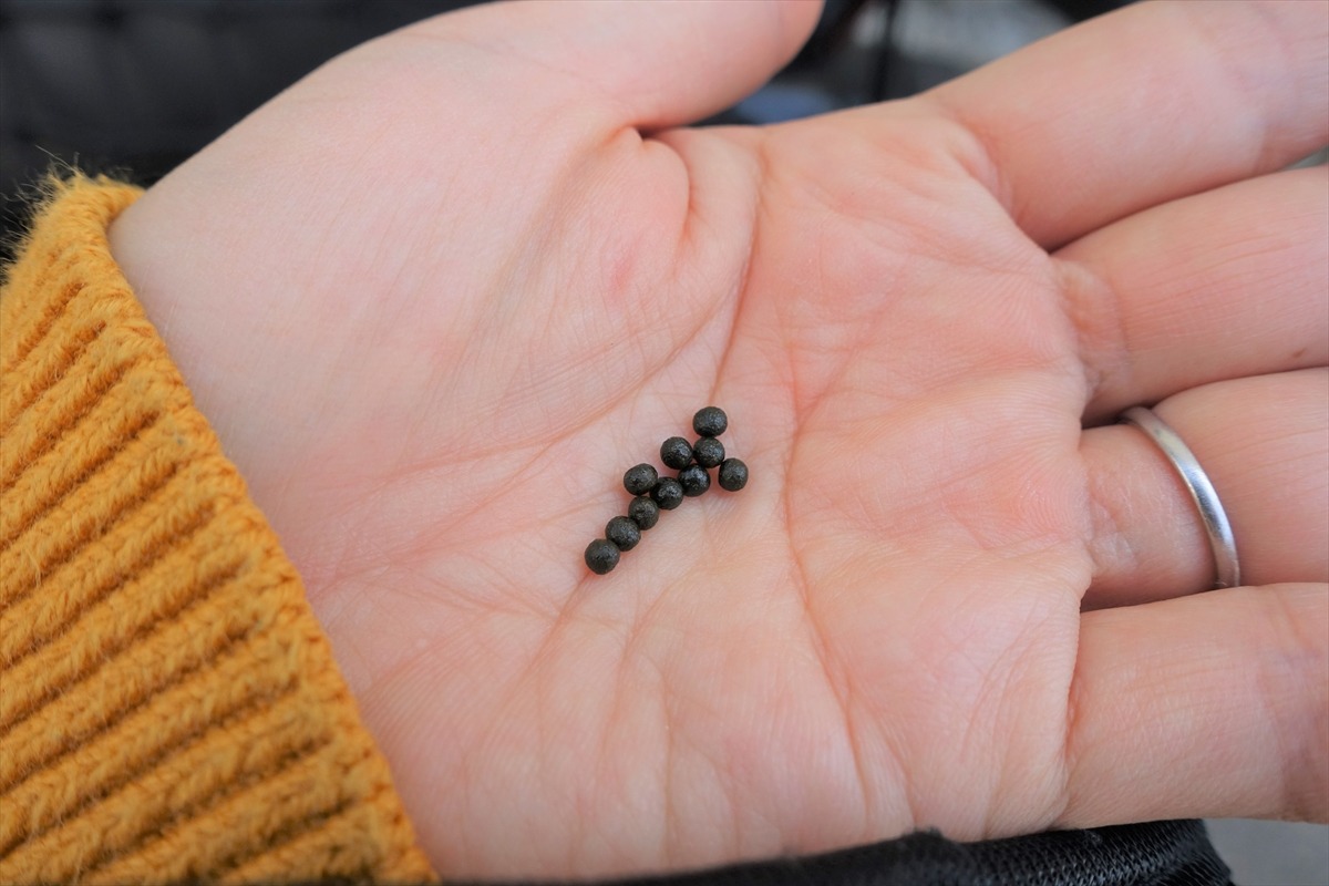 We make pills the old-fashioned way in Japan’s former medicine capital ...