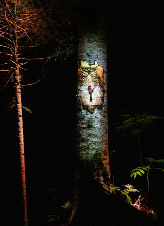 Journey through Ainu myth in the old-meets-new forest night walk Kamuy ...