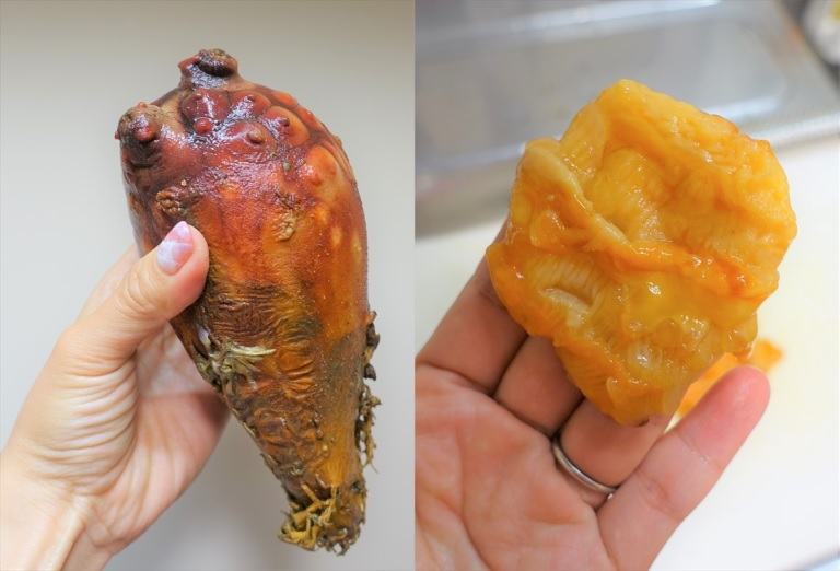 Japan’s hoya is a straight-up edible video game monster, and here’s how ...