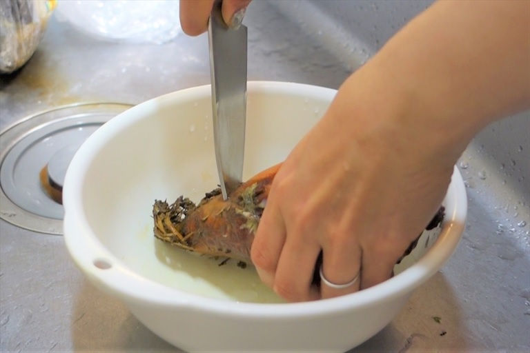 Japan’s hoya is a straight-up edible video game monster, and here’s how ...