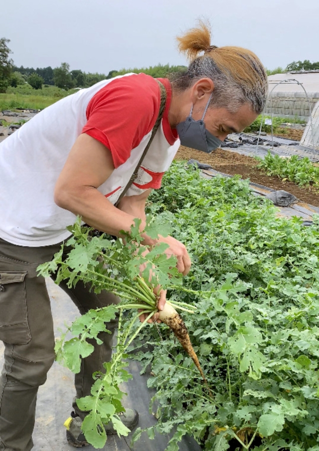The unstaffed vegetable stand in Japan where you pick your produce ...