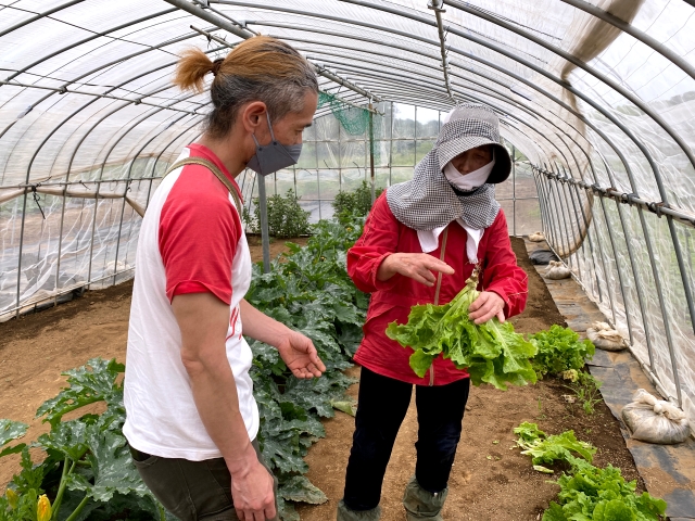 The unstaffed vegetable stand in Japan where you pick your produce ...