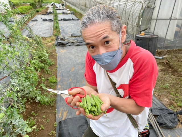 The unstaffed vegetable stand in Japan where you pick your produce ...