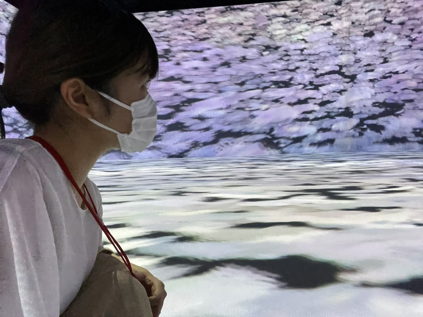 Immersive Museum offers impressive impressionist fun this summer in ...