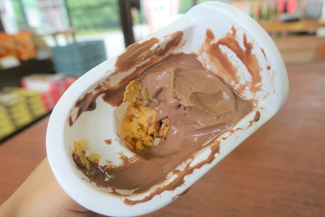 The poop ice cream to end all poop ice creams | SoraNews24 -Japan News-