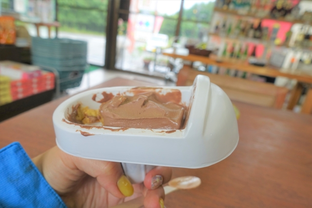 The poop ice cream to end all poop ice creams | SoraNews24 -Japan News-
