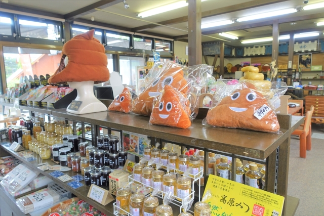 The poop ice cream to end all poop ice creams | SoraNews24 -Japan News-