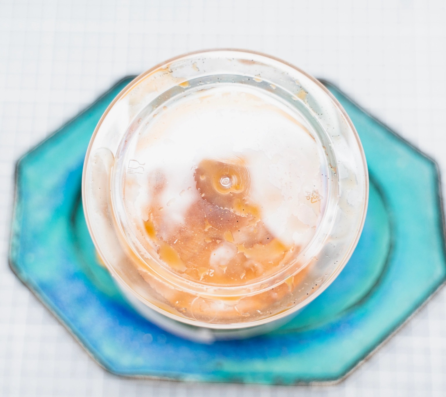 We fall in love with a bucket of Japanese custard pudding【Taste test ...