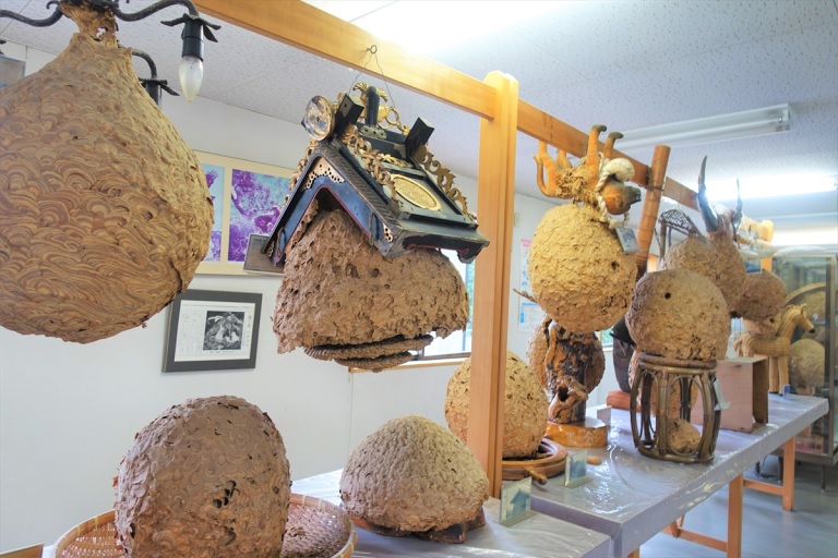 A visit to Japan’s wasp nest art museum stings us with respect for the ...