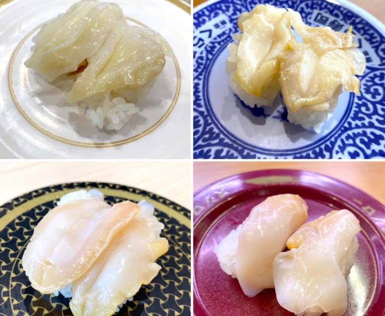 Tag: sea snail | SoraNews24 —Japan News—