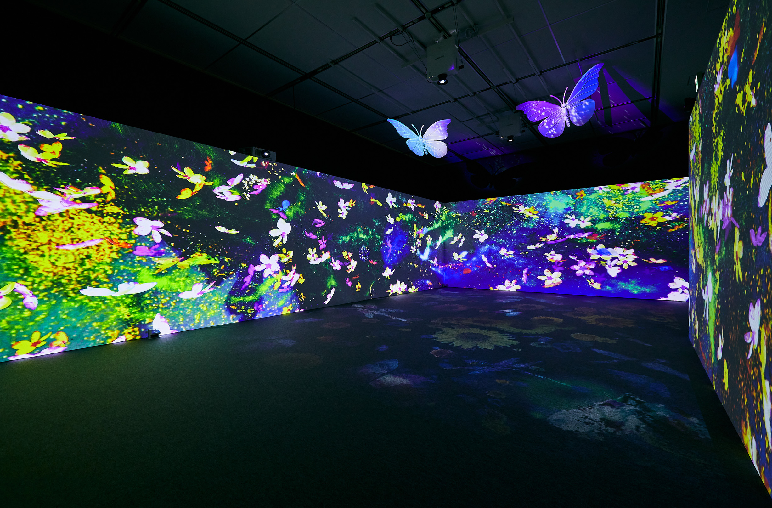 New digital art exhibition in Nagoya promises “a paradise of bugs” in a ...