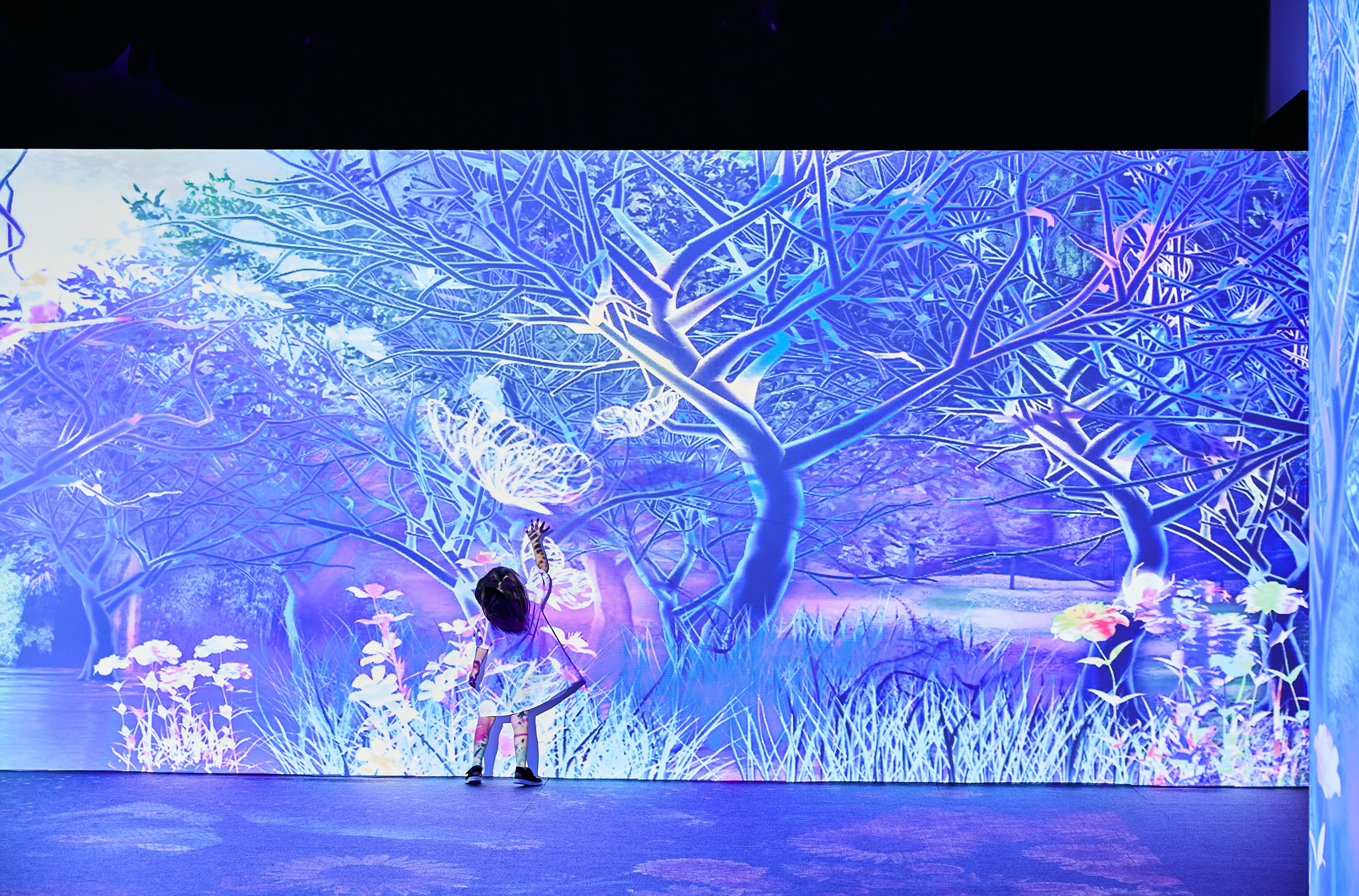New digital art exhibition in Nagoya promises “a paradise of bugs” in a ...
