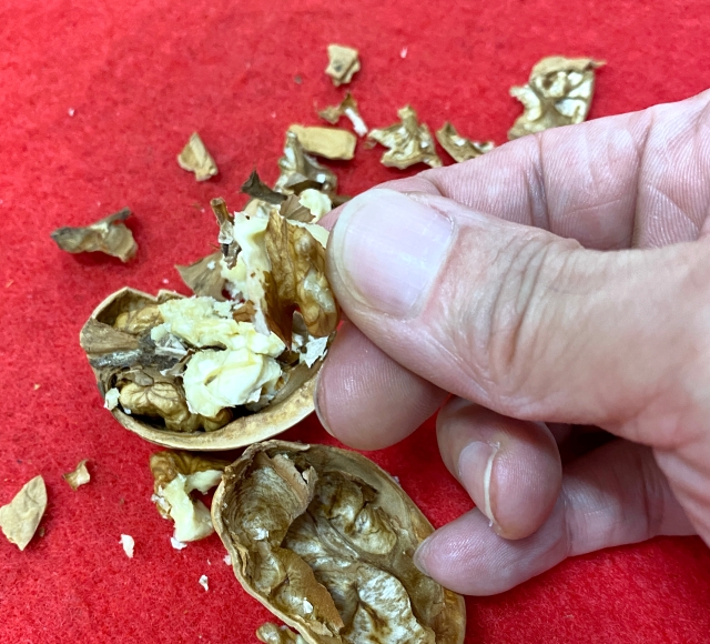 Learn how to crush walnuts with your butt from Japan’s Guinness World ...