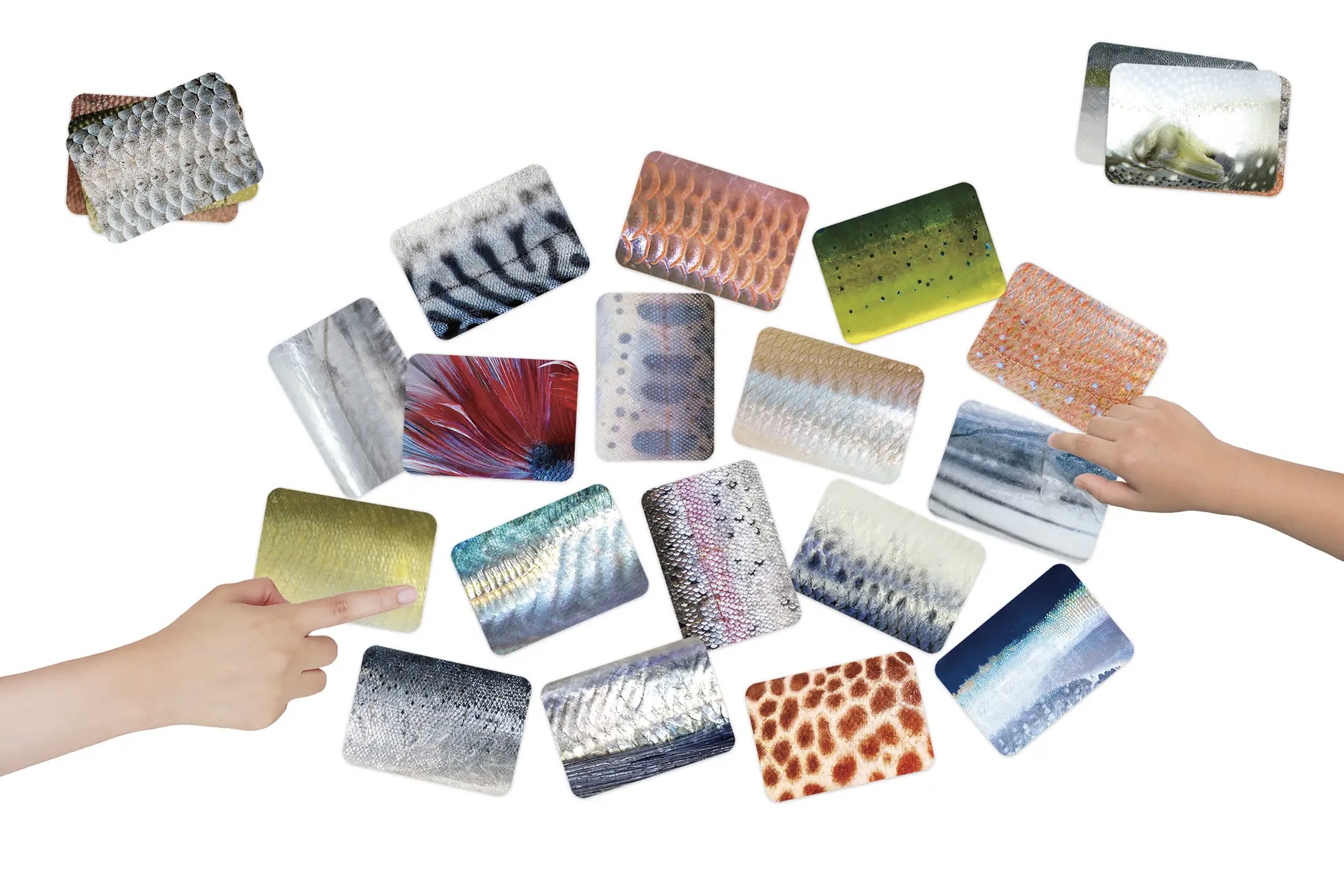 New Japanese card game teaches us the different patterns and textures ...