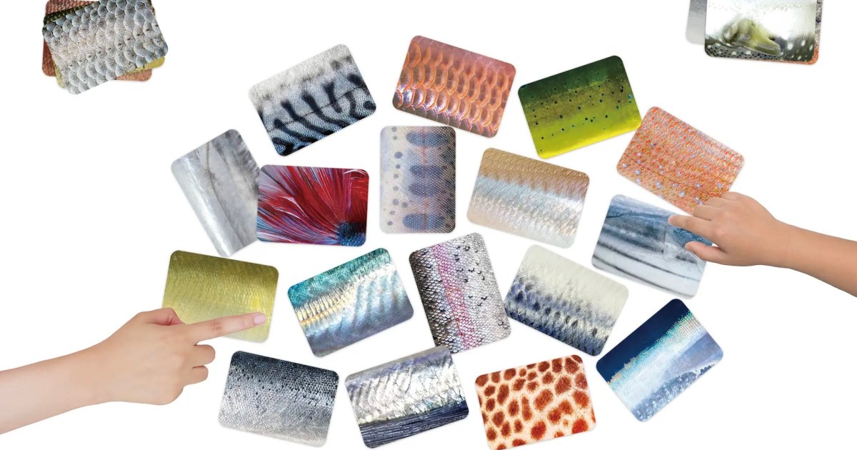 New Japanese card game teaches us the different patterns and textures ...