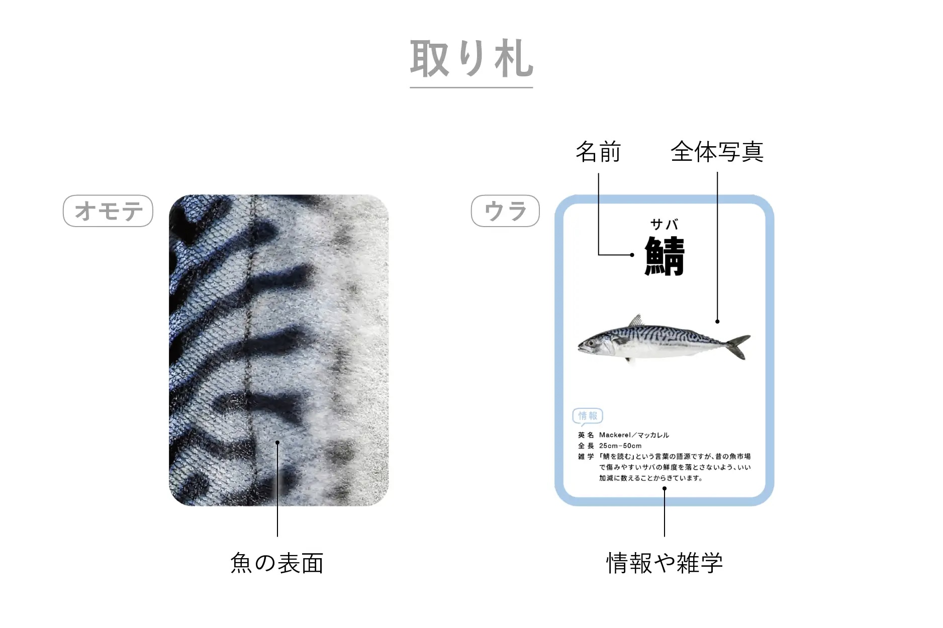 New Japanese card game teaches us the different patterns and textures ...