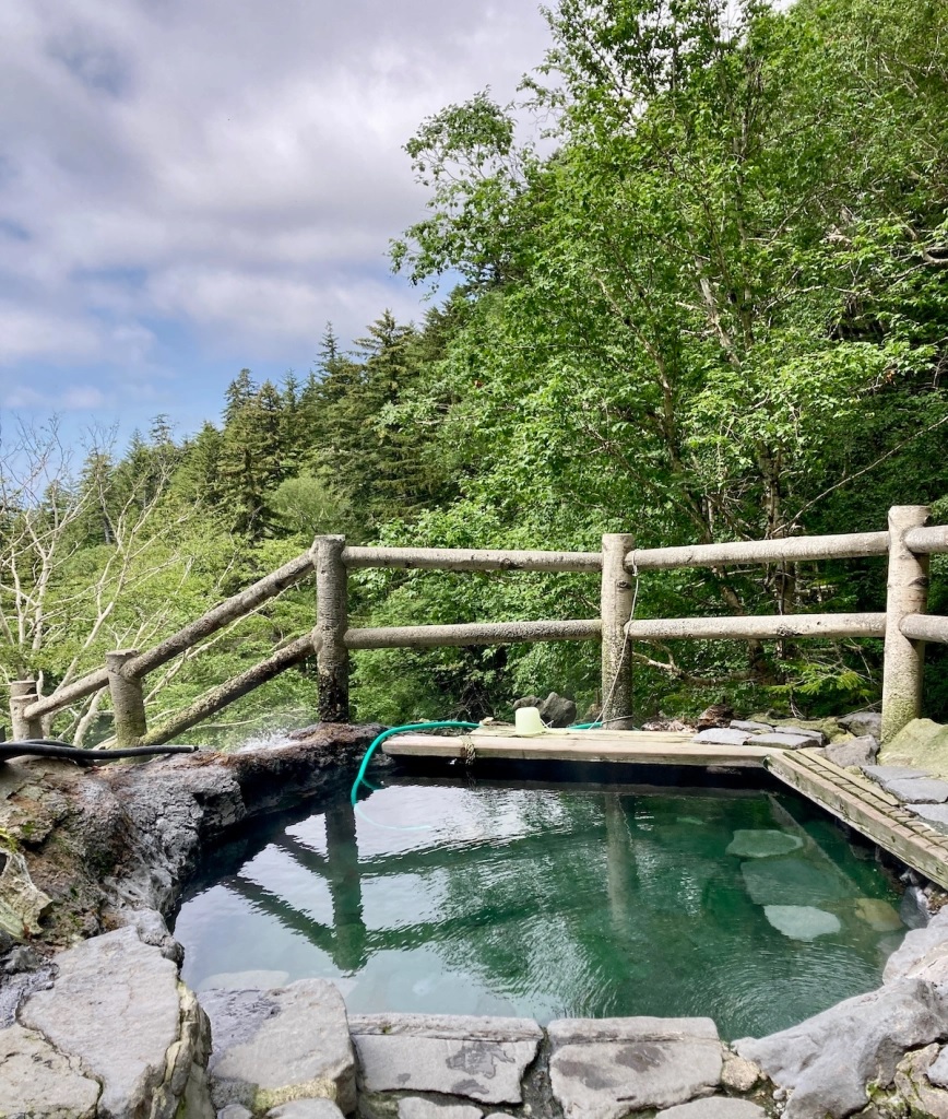 Free literal forest bathing in Hokkaido is a hot spring experience you ...