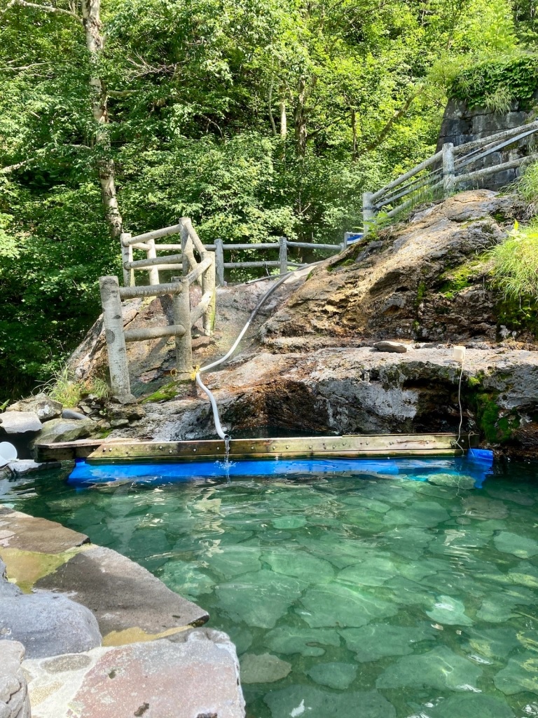 Free literal forest bathing in Hokkaido is a hot spring experience you ...