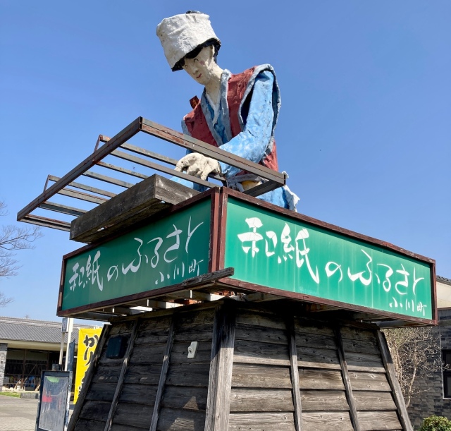 The roller slide of terror: Treetop fun ride for kids is a terrifying ...