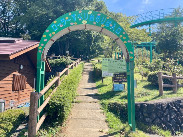 The roller slide of terror: Treetop fun ride for kids is a terrifying ...