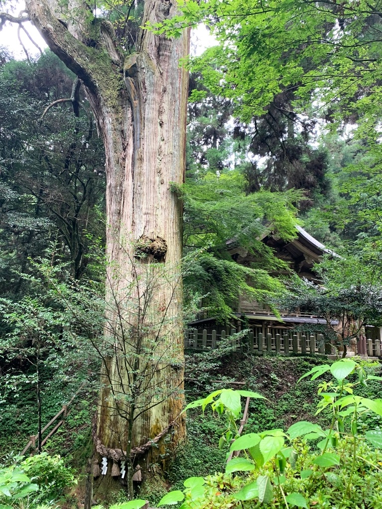 Down the steps to Kusabe Yoshimi, one of Japan’s three great ...