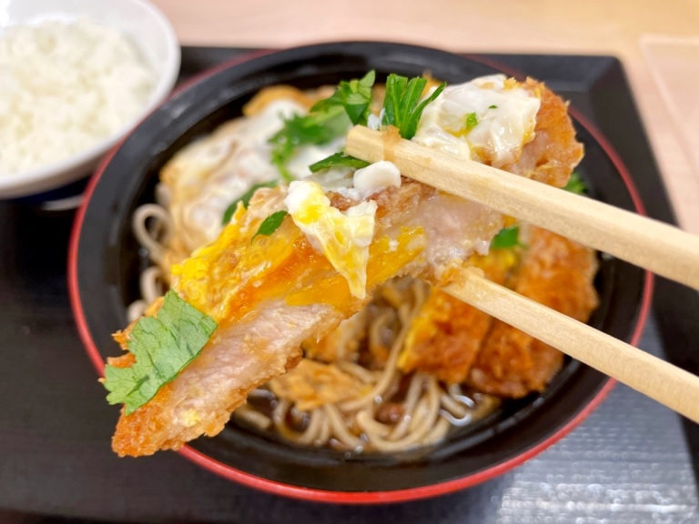A whole new way to eat katsu: Cold katsu soba【Taste test】 | SoraNews24 ...