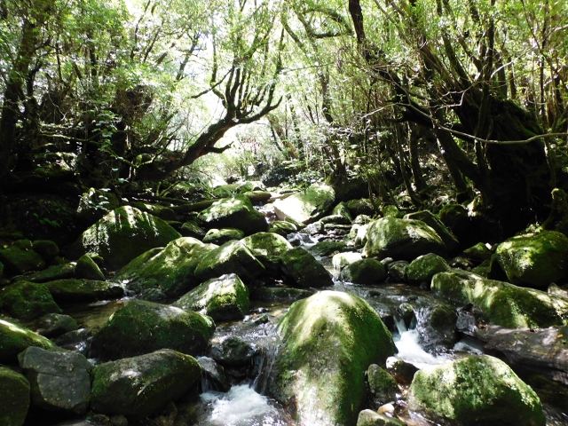 Shiratani Unsuikyo: The breathtaking anime setting where Princess ...