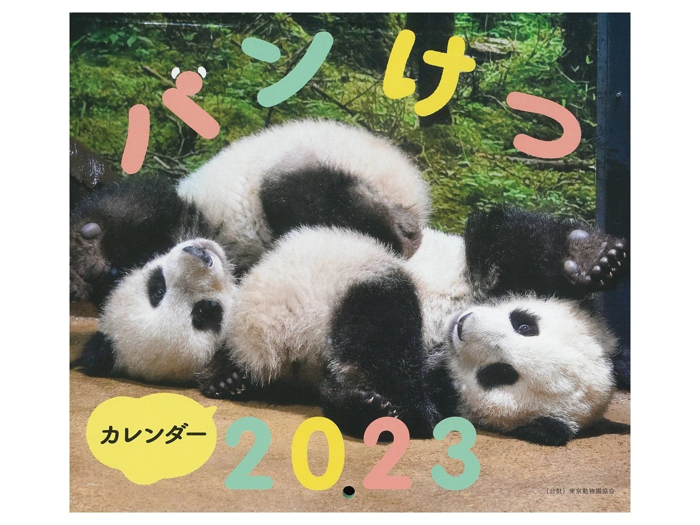 A calendar filled with pictures of furry panda butts is here to improve ...