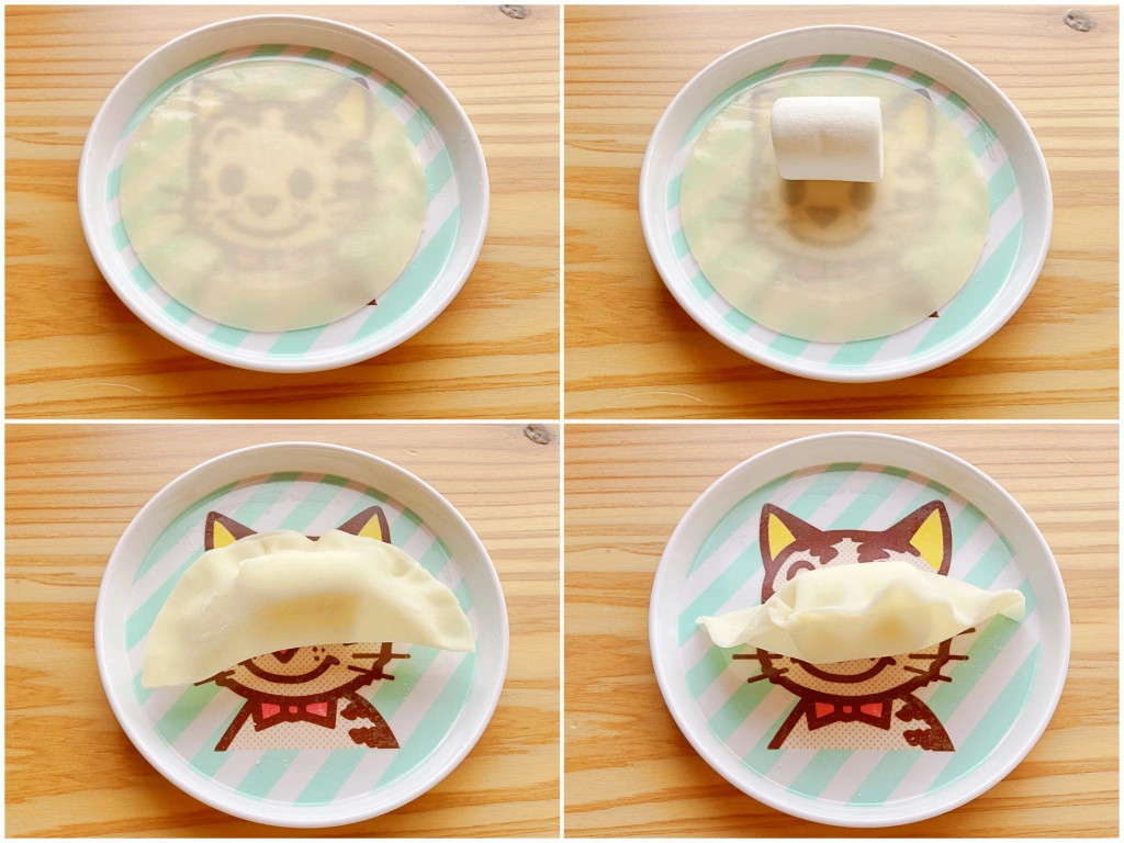 We tried to use our leftover gyoza wrappers to make marshmallow puffs ...