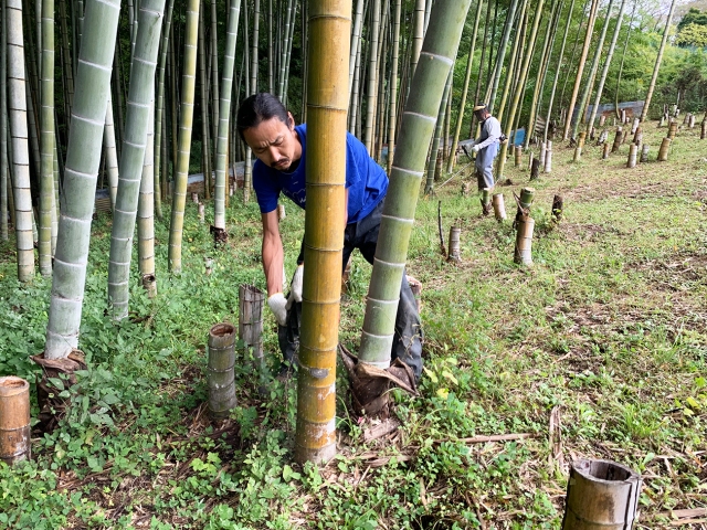 Preparing for the Soraniwa Music Festival in the mountains of Kanagawa ...