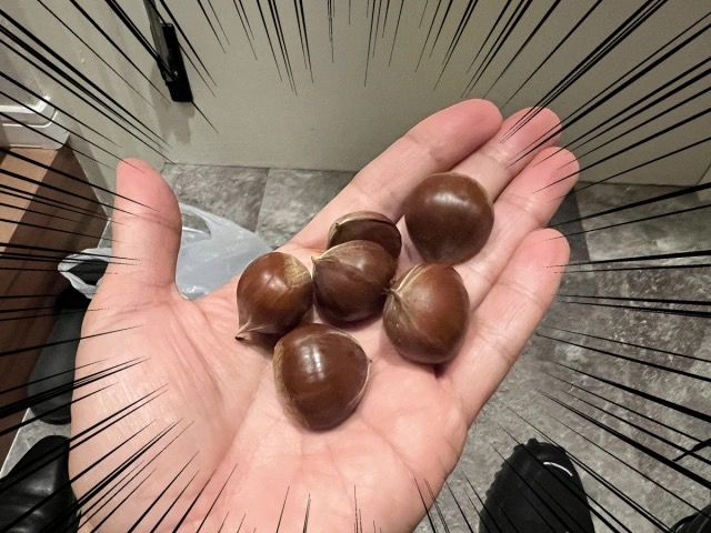 Turning a crazy cheap country Japanese house into a home — Step 9 ...