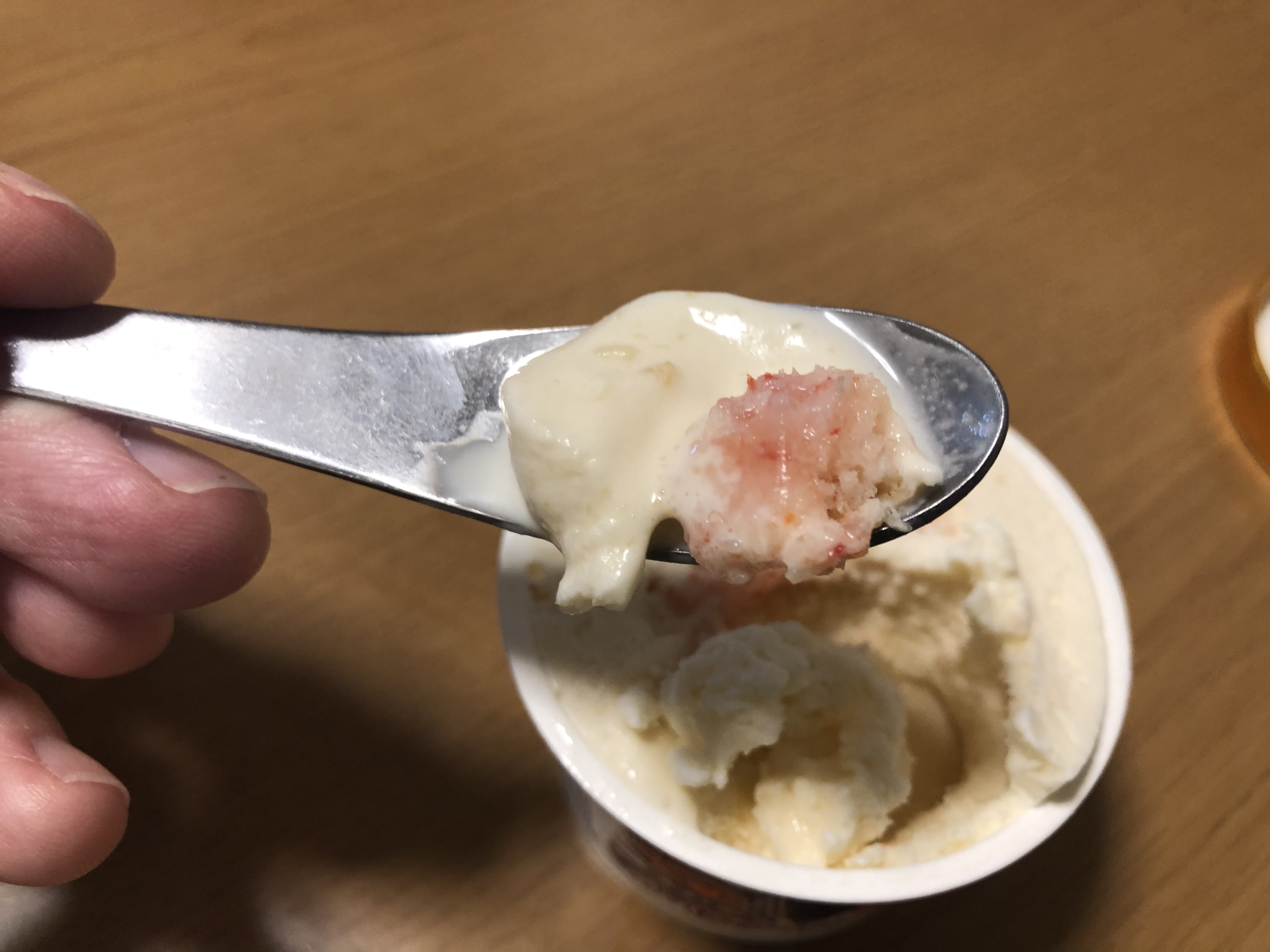 Osaka’s powerful Crab Ice Crab doesn’t pull any punches【Taste test ...