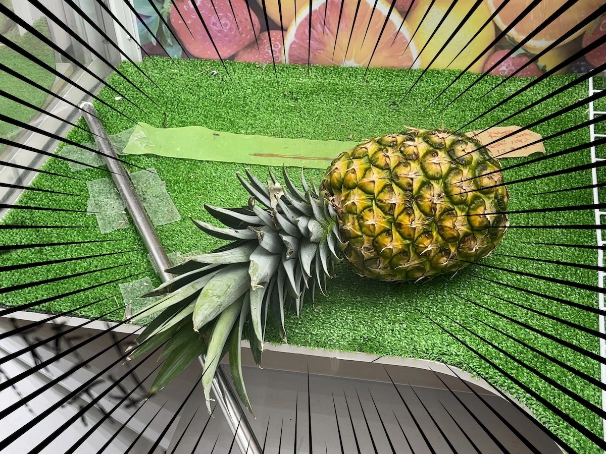 A visit to the best UFO catcher arcade in the universe! | SoraNews24 ...