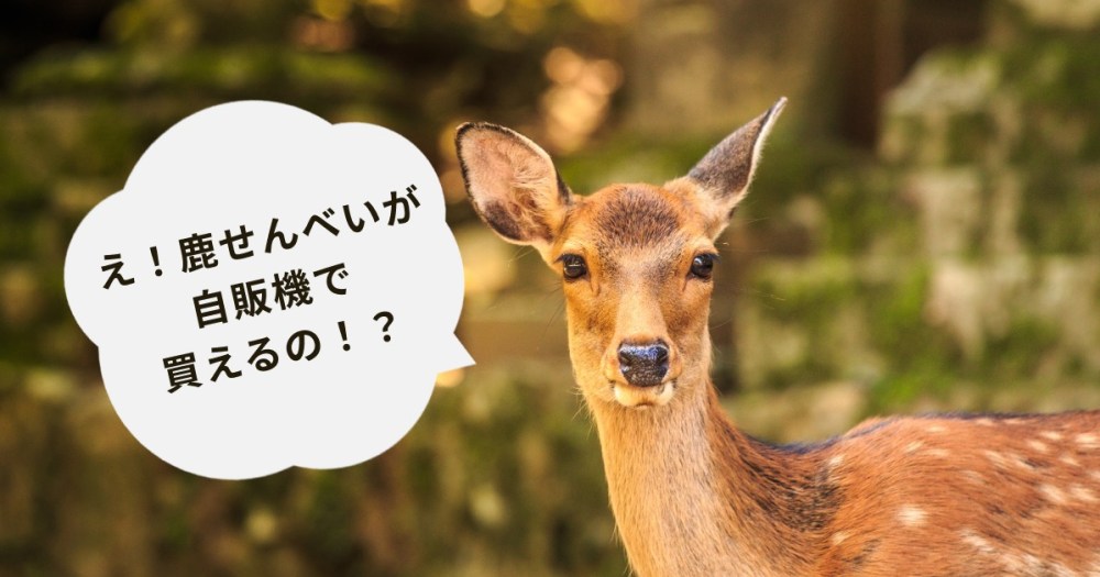 Nara unveils new vending machines that sell deer crackers | SoraNews24 ...