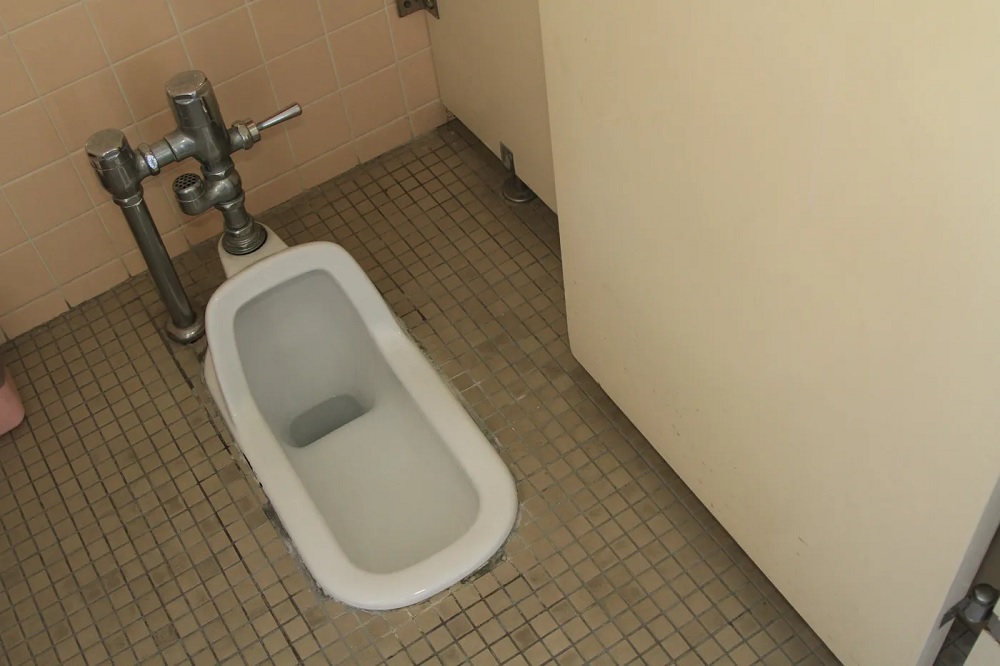 Japanese defecation survey says kids struggle with Japanese toilets ...