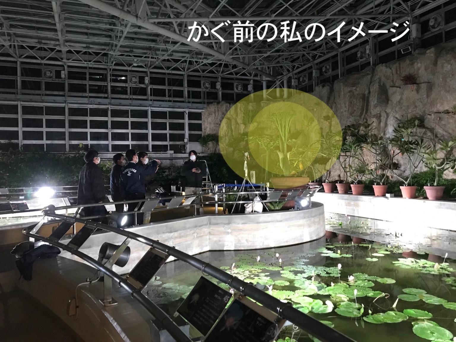 We get a rare whiff of the corpse flower, a.k.a. the world’s stinkiest ...