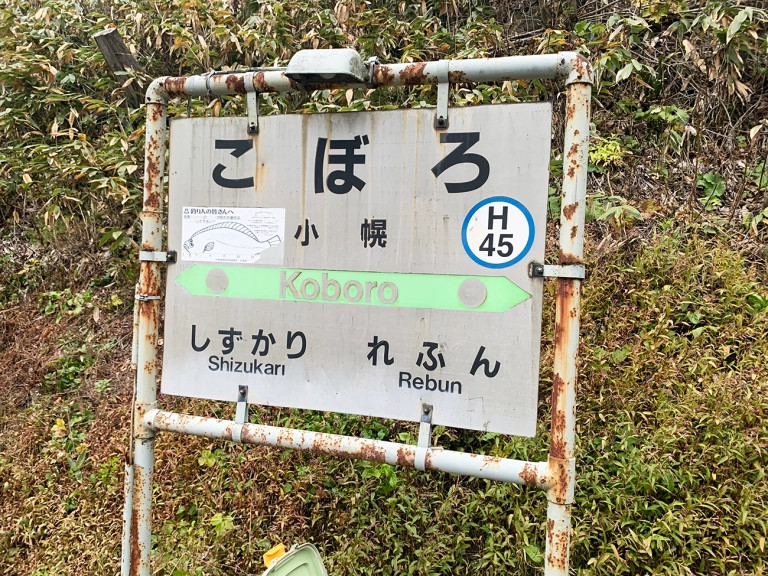 We travel to Gohoro Station, a tiny, remote station between tunnels in ...