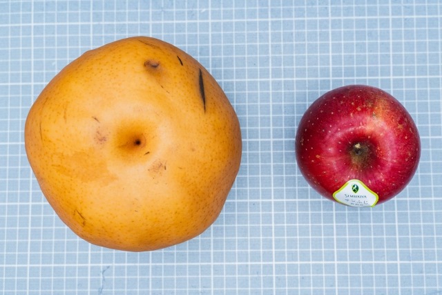 Check out this atago pear from Shimane Prefecture, weighing in at 1.5 ...