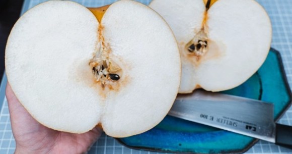 Check out this atago pear from Shimane Prefecture, weighing in at 1.5 ...