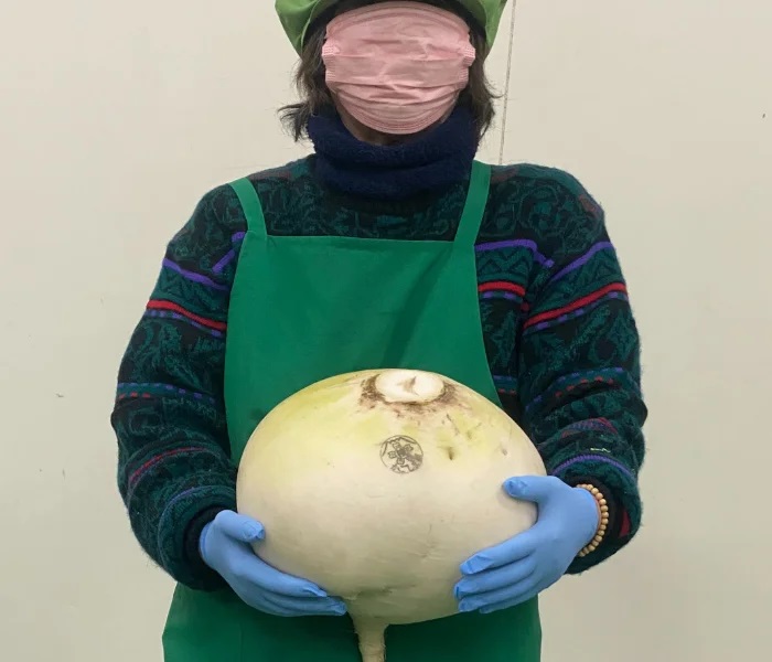 World’s largest type of daikon radish can now be ordered online in ...