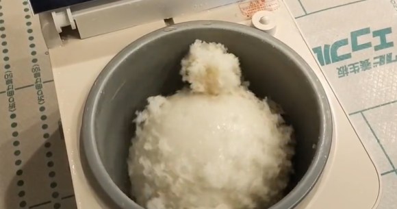 Is the mochi alive? Japanese mochi maker gadget video will leave you ...
