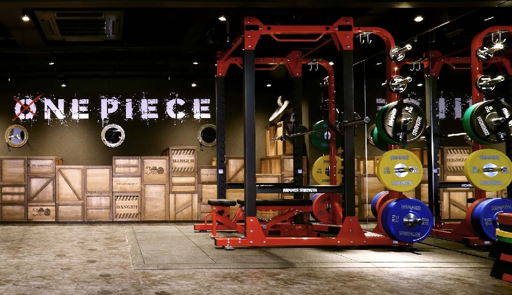 Japan’s real-world One-Piece fitness gym is open, lets you pump giant ...