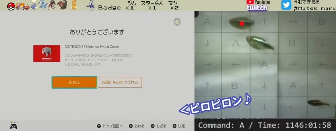 Pokémon-playing fish commit credit card fraud against owner in Japan ...